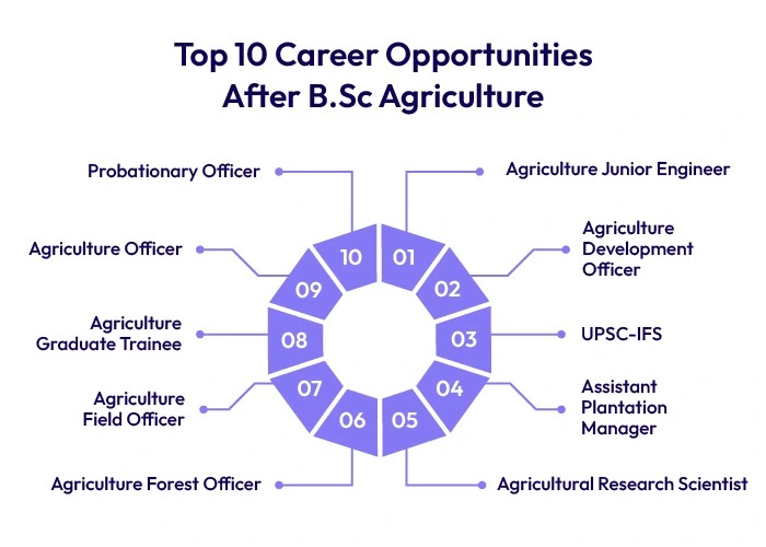 Jobs after Bsc Agriculture | AECC